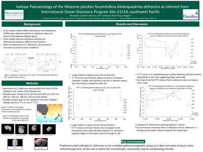 "Isotope Paleoecology of the Miocene Planktic Foraminifera Globoquadrin ...