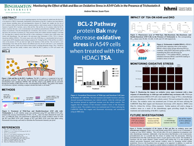 "Effect of Bak and Bax on Oxidative Stress in A549 Cells" by Andrew ...