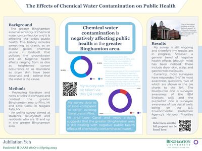 "The Effects of Chemical Water Contamination on Public Health" by ...
