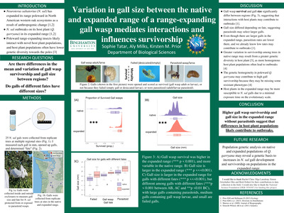 "Variation in Gall Size Between the Native and Expanded Range of a Rang" by Sophie Tatar, Aly ...