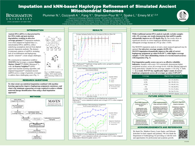 "Imputation and k-NN based Haplotype Refinement of Simulated Ancient Mi ...