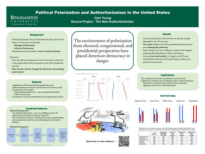 "Polarization and Authoritarianism: How Patterns of Polarization and De ...